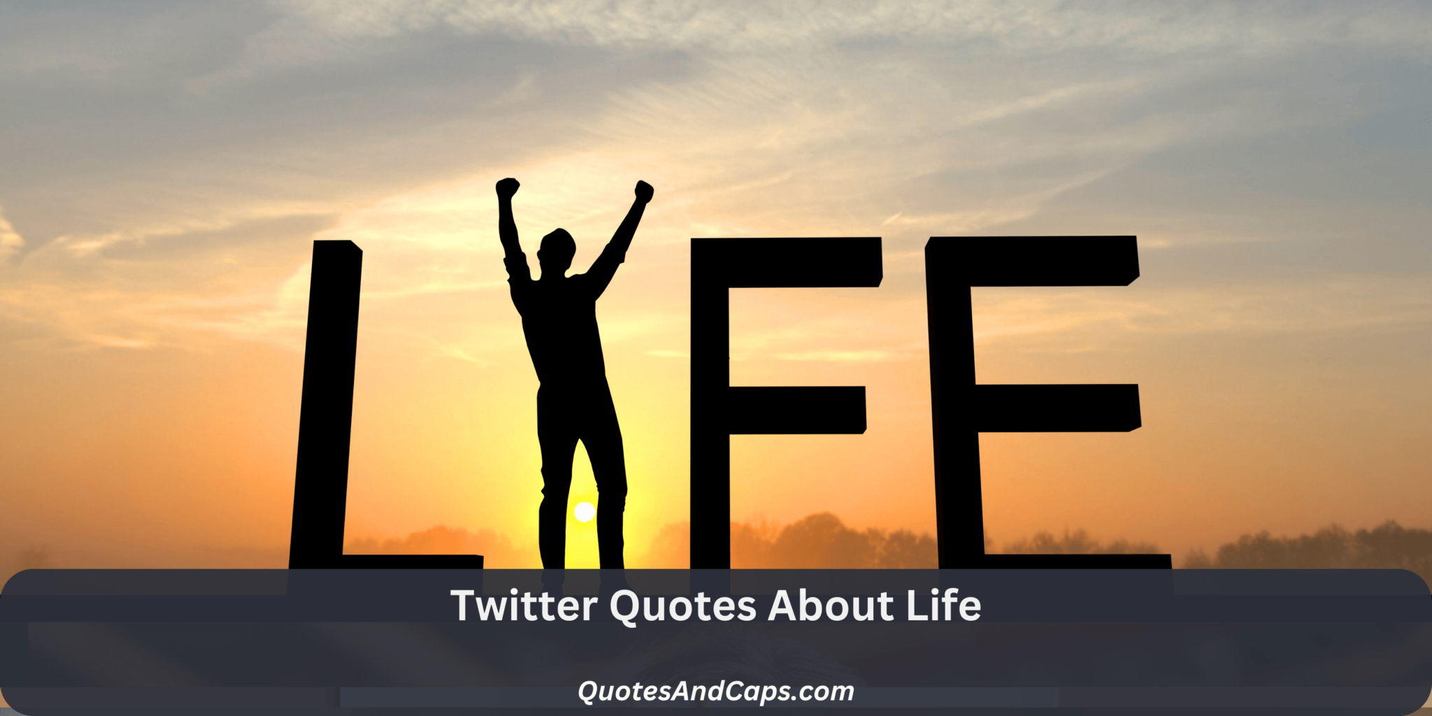 Twitter Quotes About Life Lessons, Love & Struggles - Full List