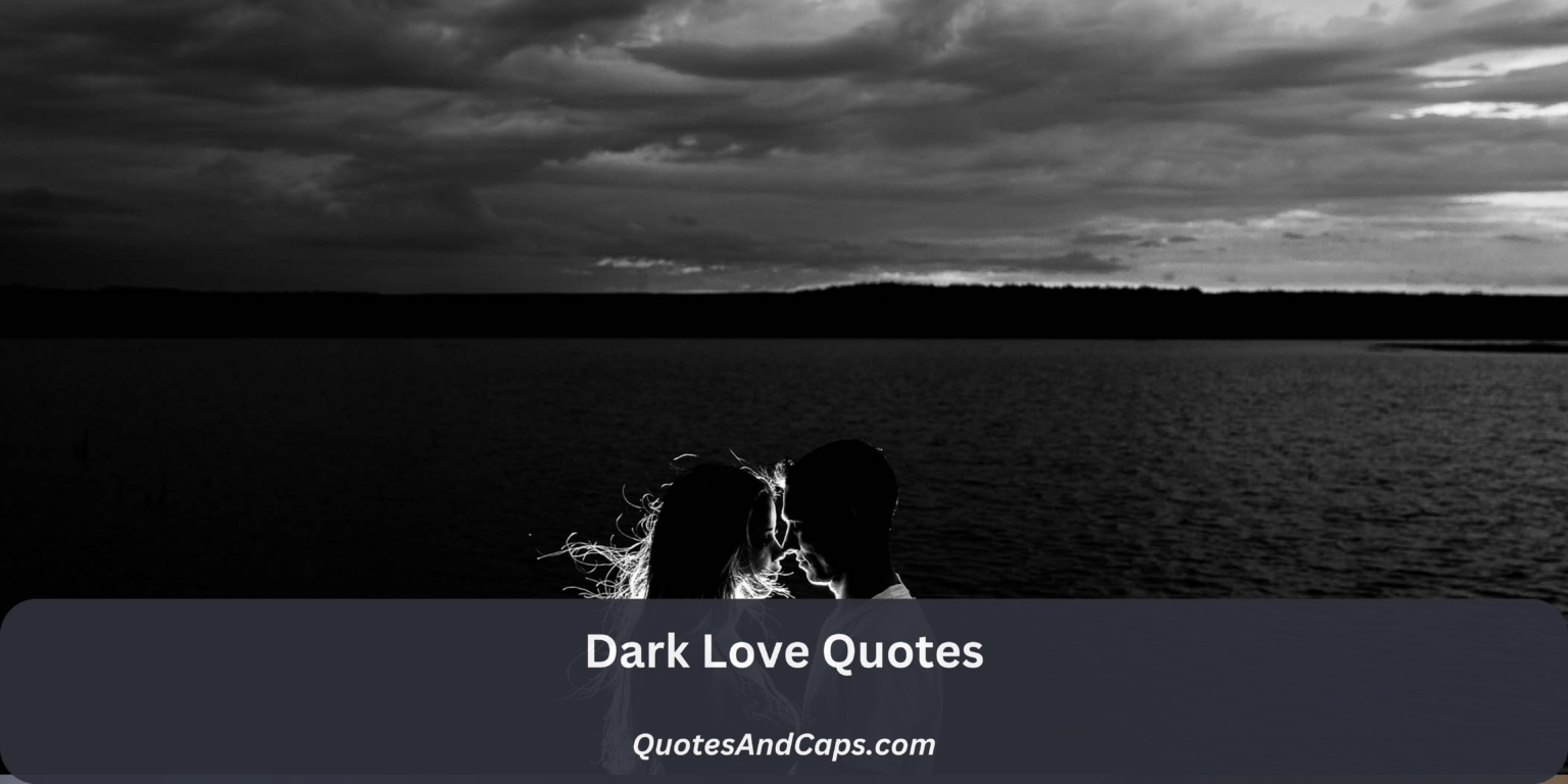 100+ No Love Quotes – Sad, Short & Emotionally Raw Reflections