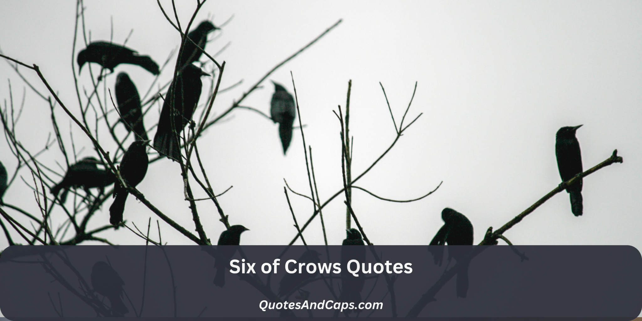 Six of Crows Quotes: Love, Wallpaper, & Chapter Insights