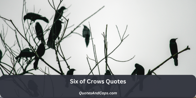 Six of Crows Quotes: Love, Wallpaper, & Chapter Insights