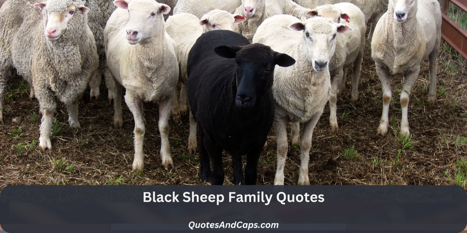 Black Sheep Family Quotes: Funny & Short Family Quotes